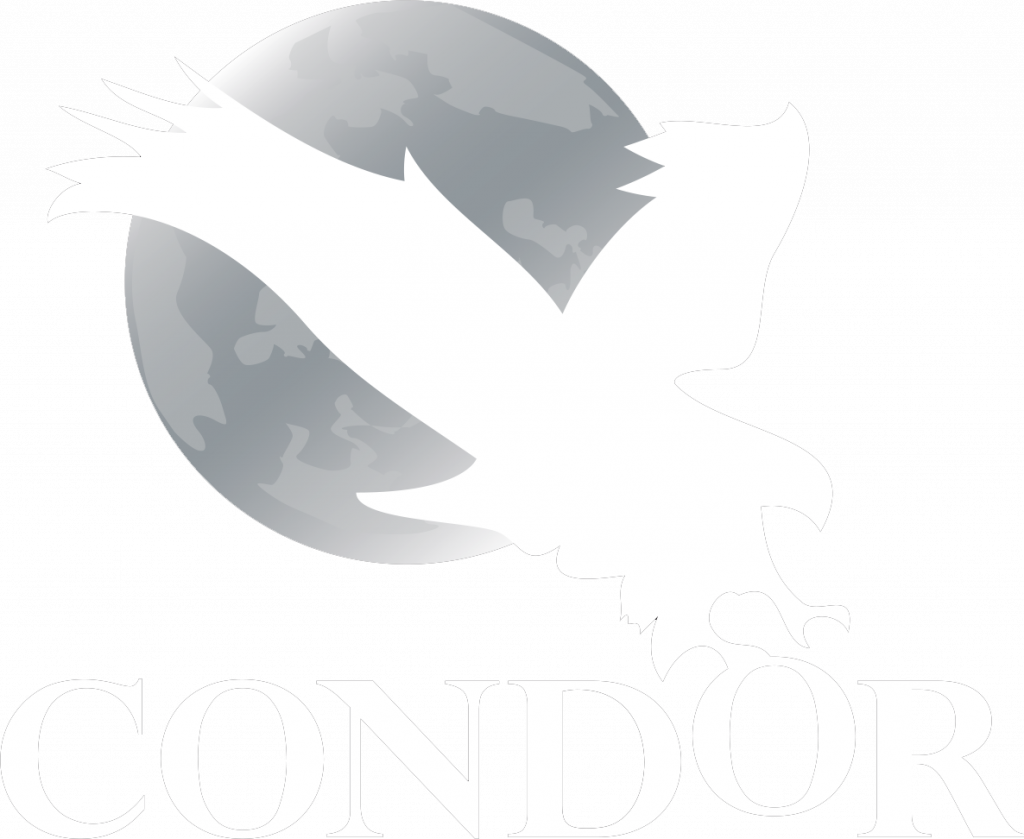Condor | Société de distribution cinématographique et VOD