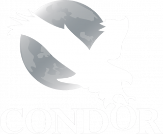 EL PROFESOR | Condor